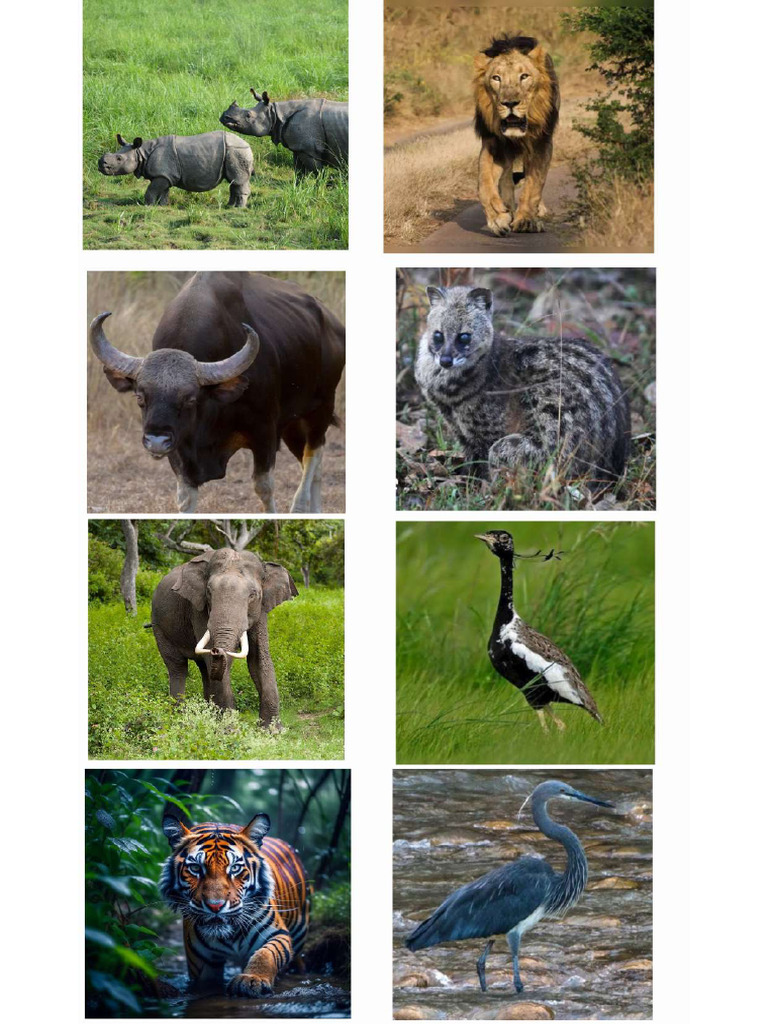 Endangered Species | PDF