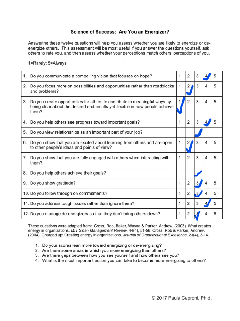 Energizing Self Assessment | PDF