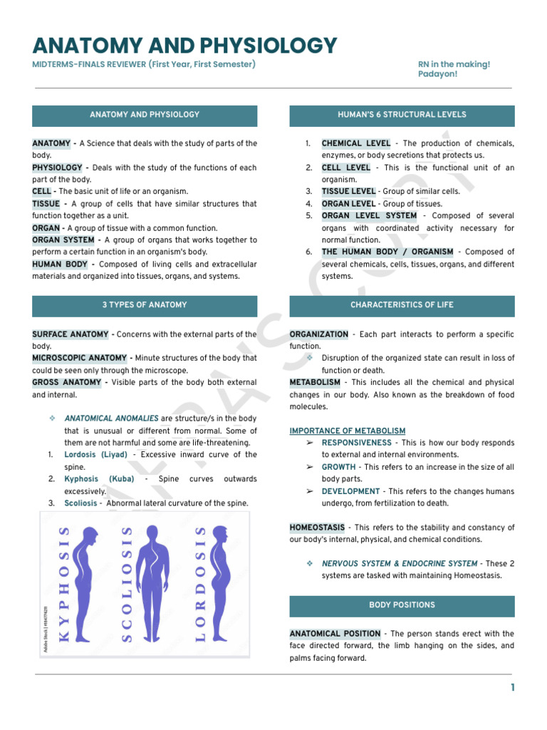 AnaPhy MIDTERMS FINALS REVIEWER | PDF