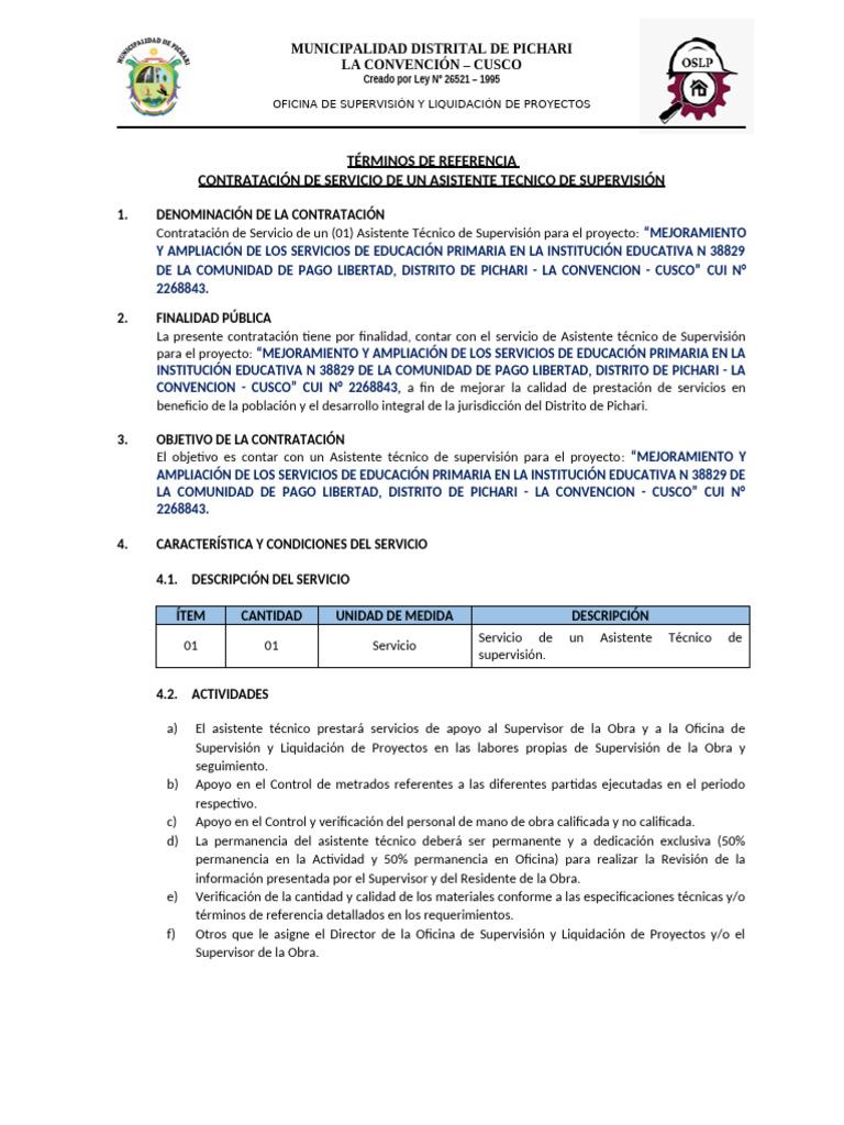 TDR Tecnicopago Libertad | PDF | Finance & Money Management | Technology & Engineering