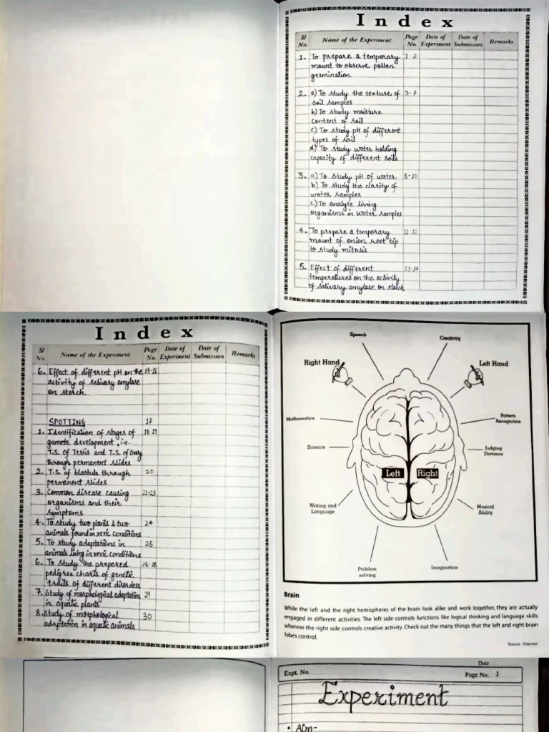 Class 12th Biology Record | PDF