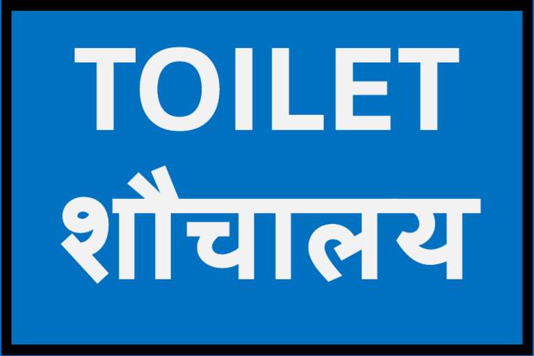 Toilet | PDF