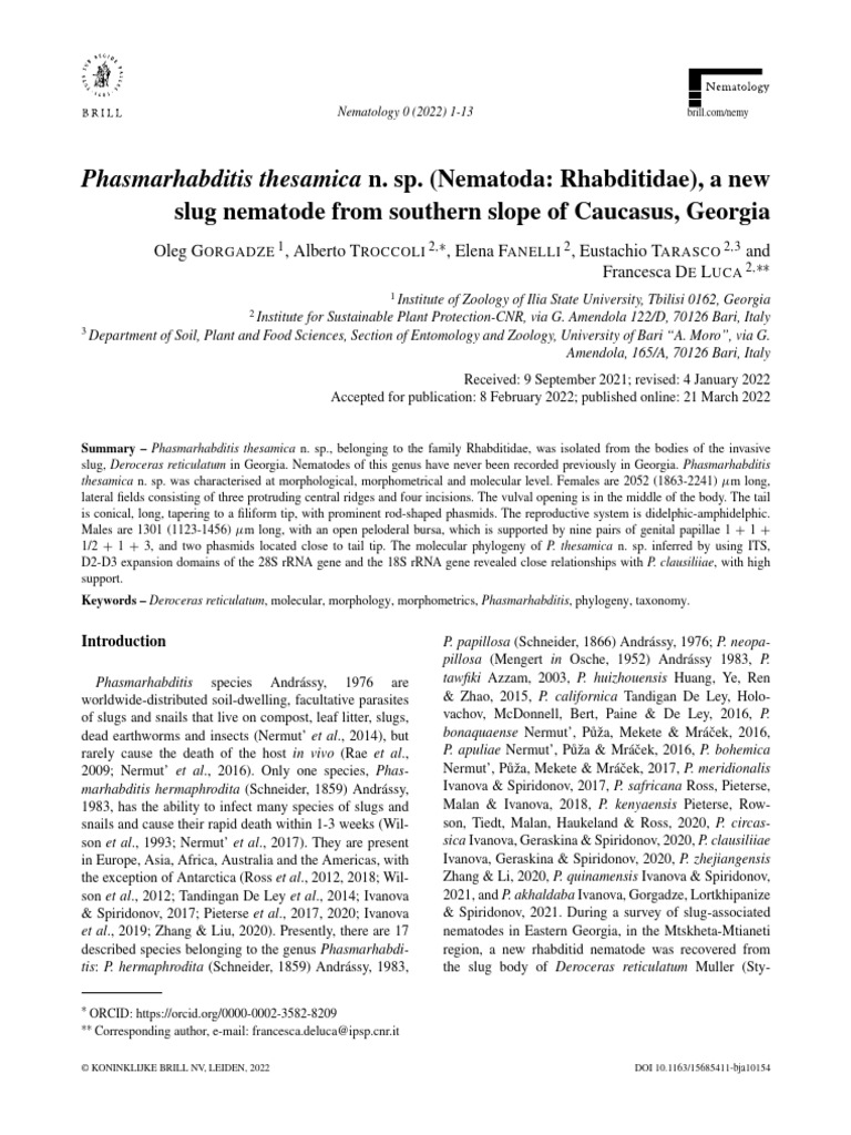 NEMY Advance 3514 Gorgadze | PDF