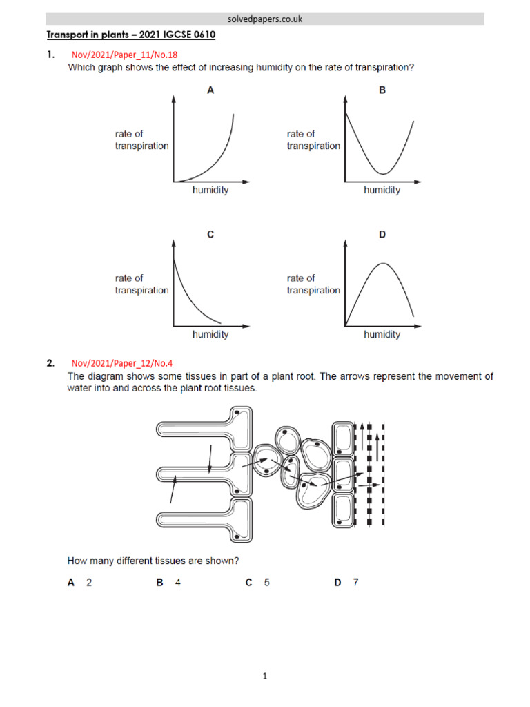 2021N Transport in Plants IGCSE 0610 | PDF
