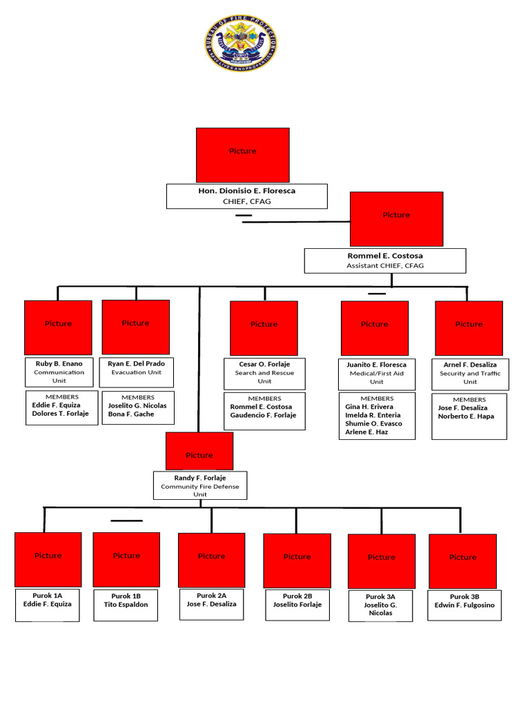 CFAG Structure | PDF