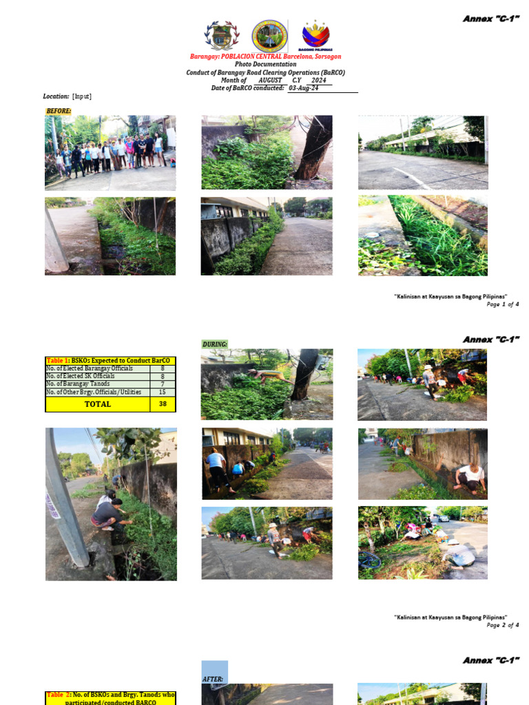 ANNEX C-1 Revised Pob Central August 2024 | PDF