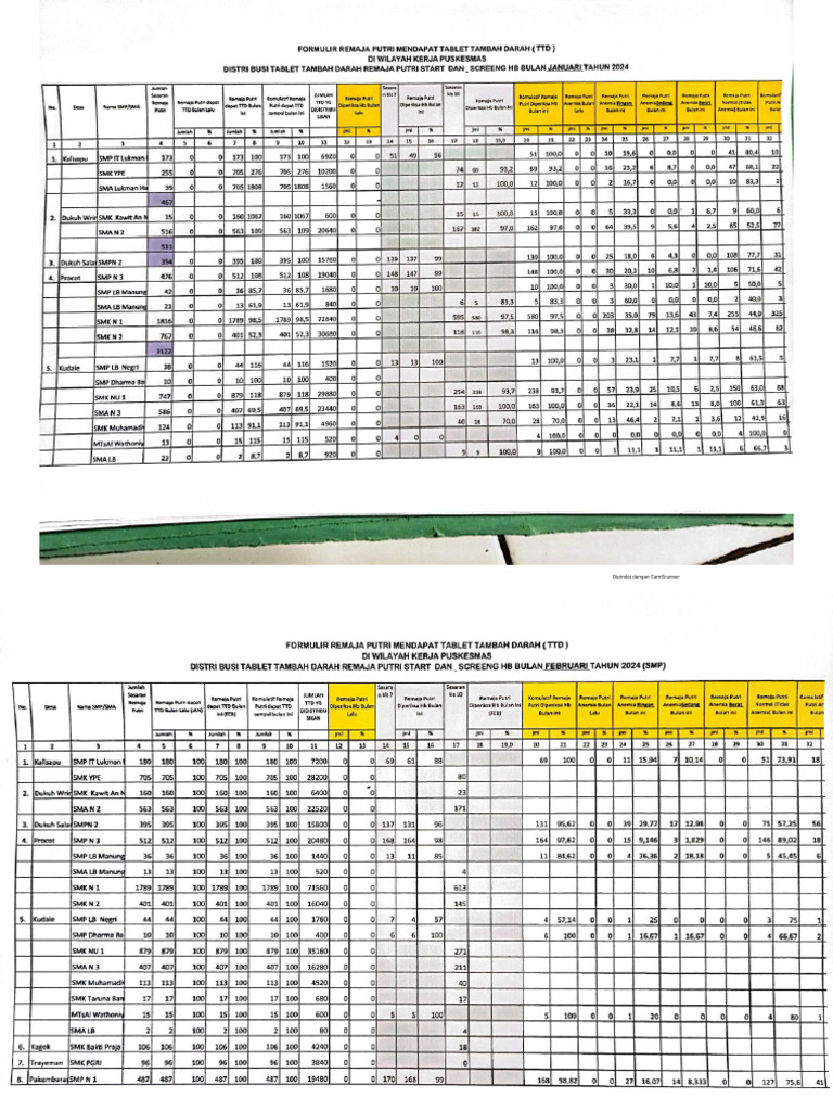 Lap Lap Anemia Besi 2024 | PDF