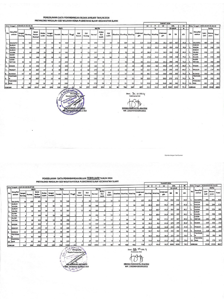Lap Bulanan Gizi 2024 | PDF