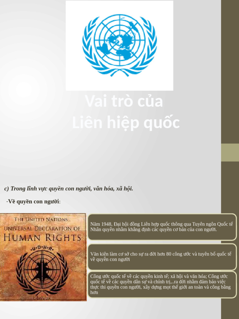 vai trò trong quyền con người, vh, xh - 12C7 | PDF