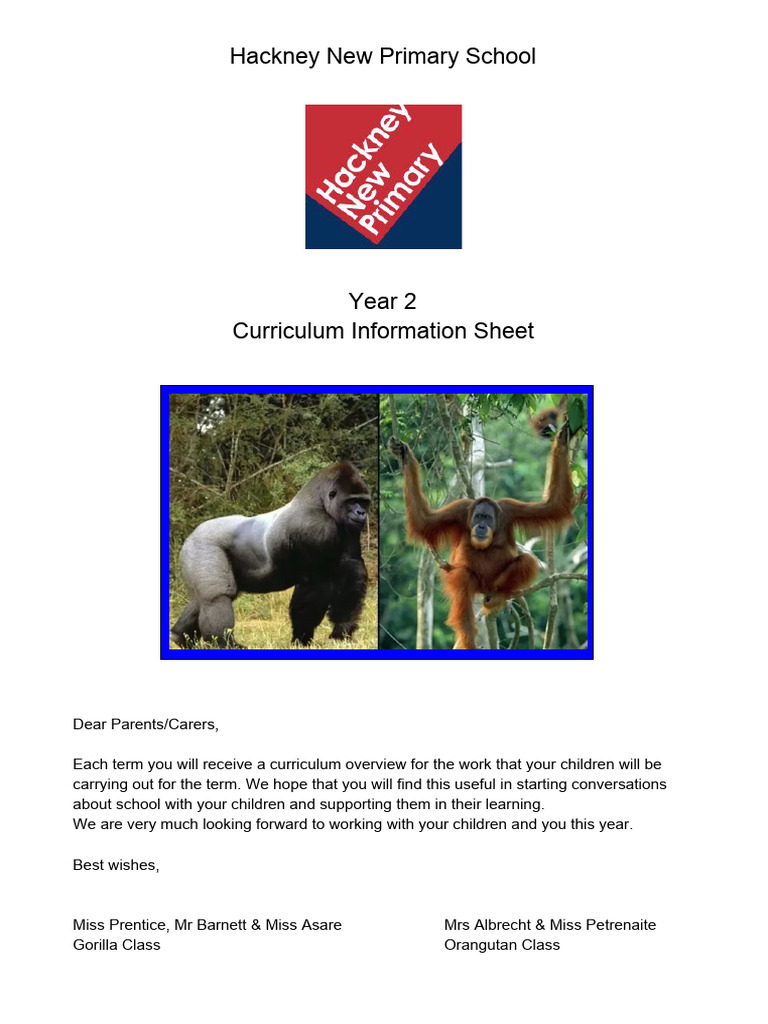 Year 2 Curriculum Information Sheet | PDF