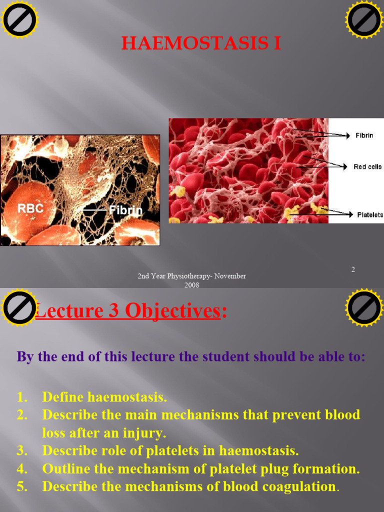 Hemostasis | PDF