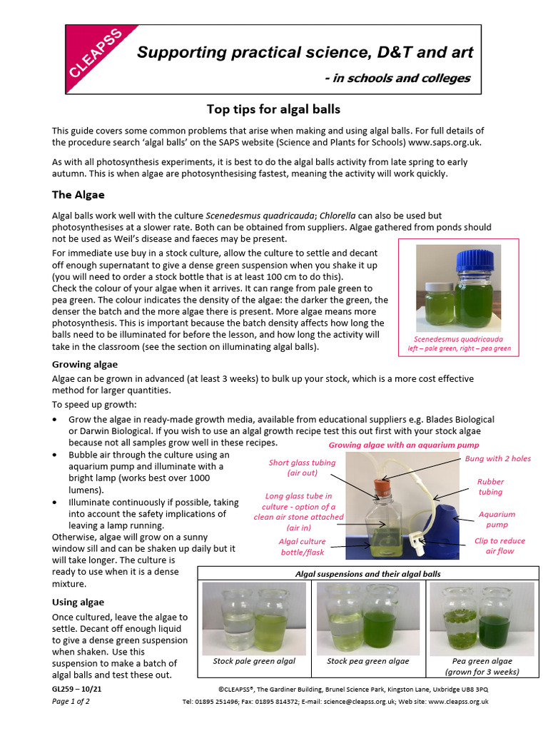 GL259 Top Tips For Algal Balls | PDF