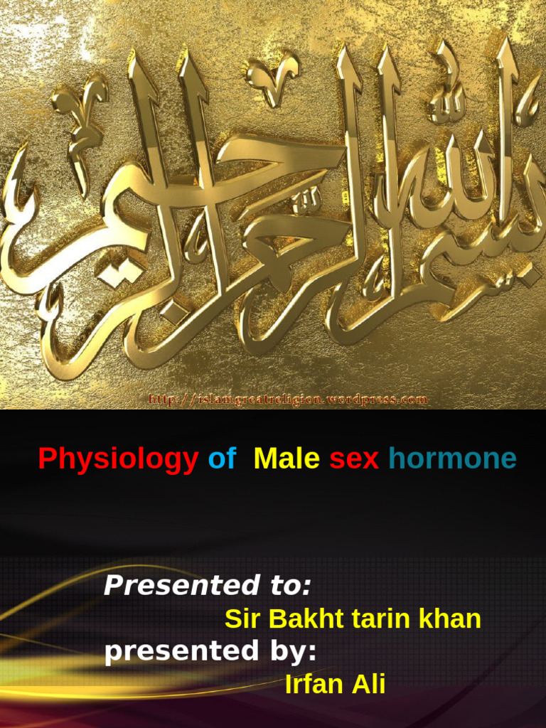 irfan ppt | PDF