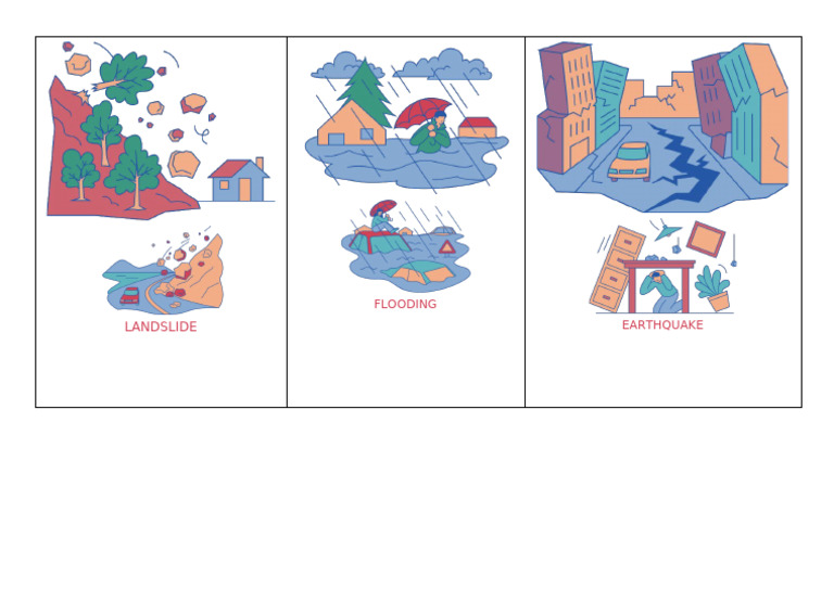 DISASTER FLYERS | PDF