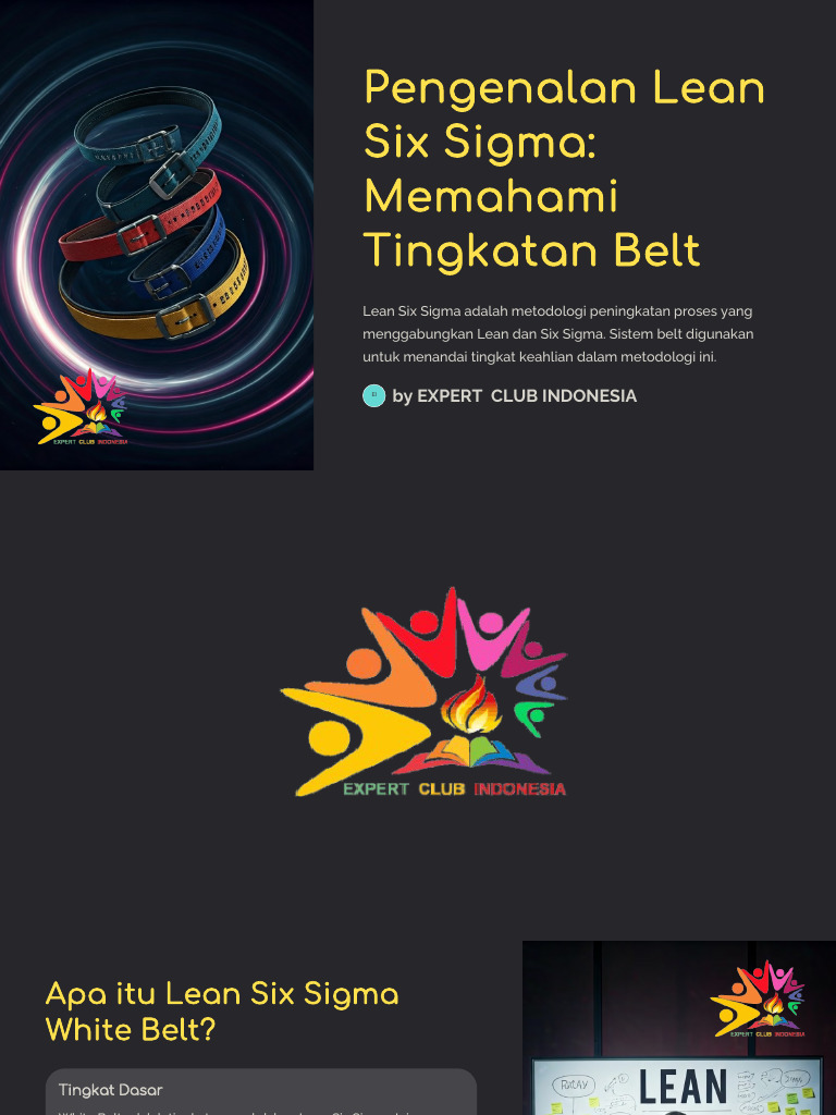 Intro Lean Sixsigma | PDF