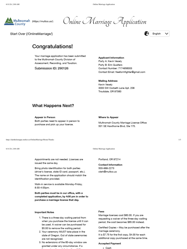 Online Marriage Application | PDF