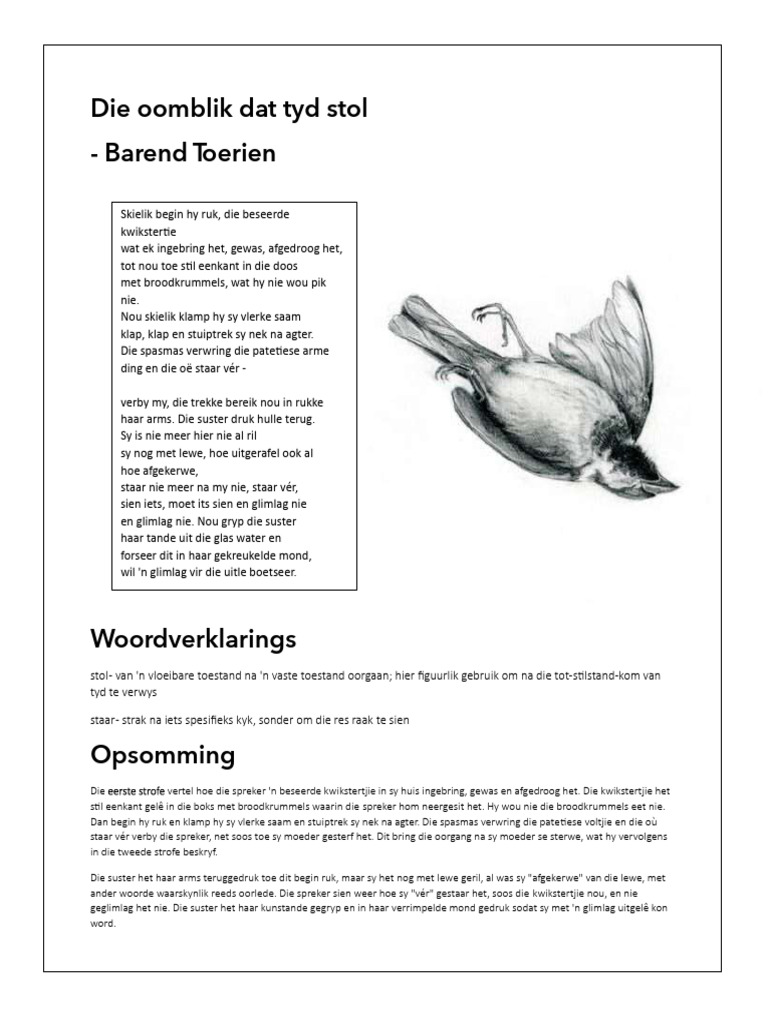 Die Oomblik Dat Tyd Stol | PDF