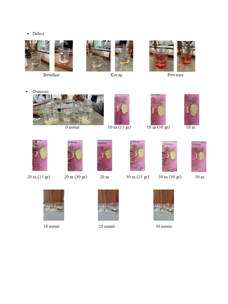 Dokumentasi Praktikum Fistum 1 | PDF