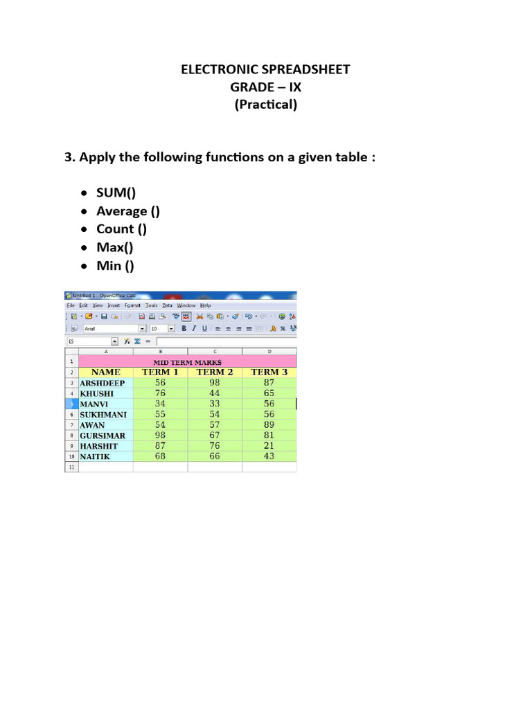 Electronic Spreadsheet Practical | PDF