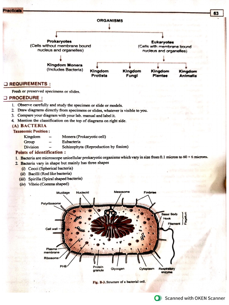 Biology Practical (2) | PDF