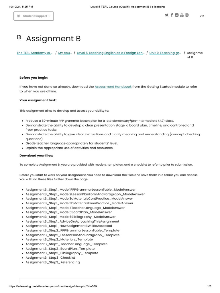 Level 5 TEFL Course (Qualifi) - Assignment B - E-Learning | PDF