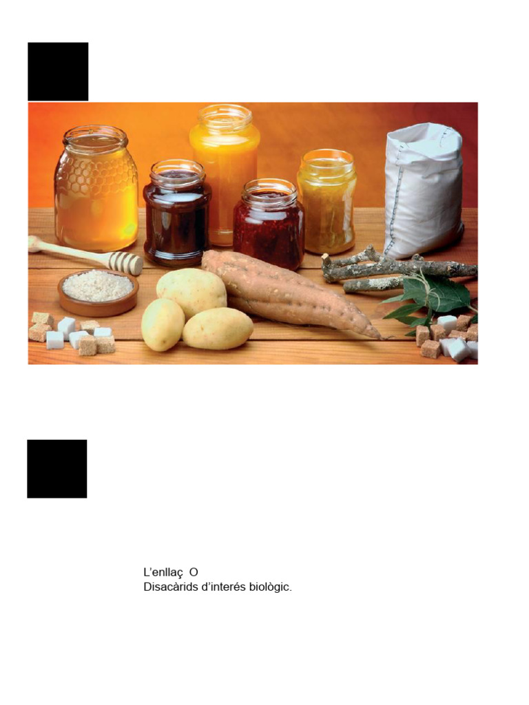 TEMA 2.Glúcids 2 | PDF