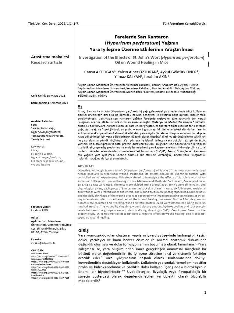 Farelerde Sar - Kantaron (Hypericum Perforatum) Ya - N - N Yara - Yile - Me - Zerine Etkilerinin ...