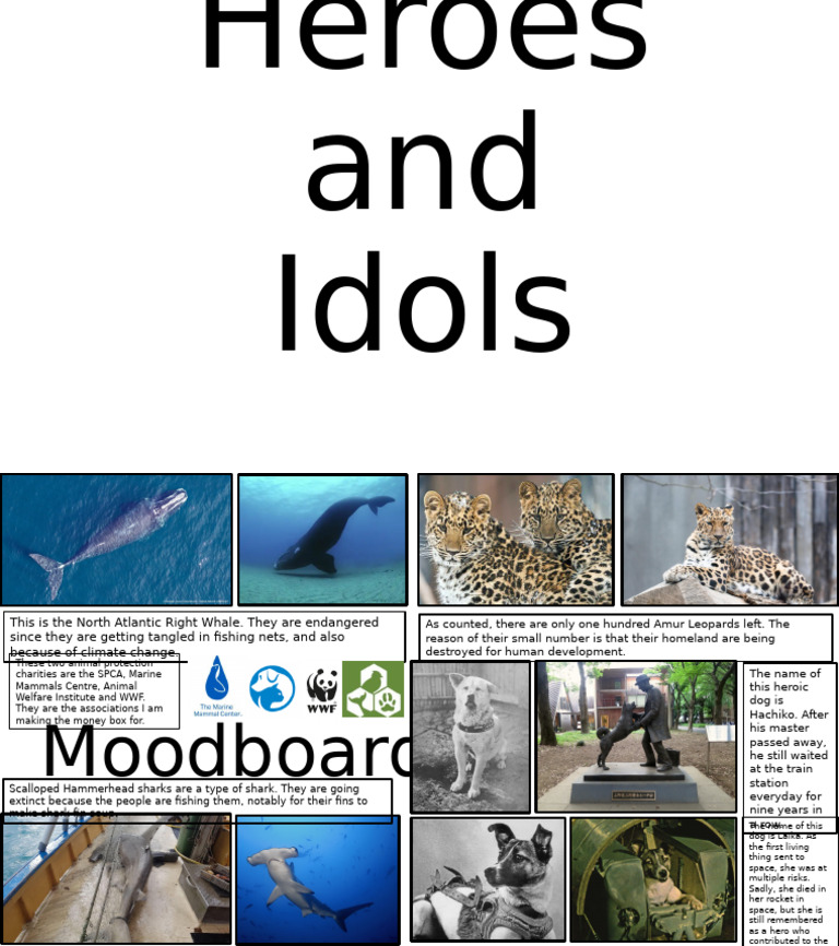 Heroes and Idols | PDF