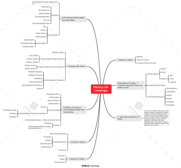 Meeting Life Challenges Mind Map | PDF