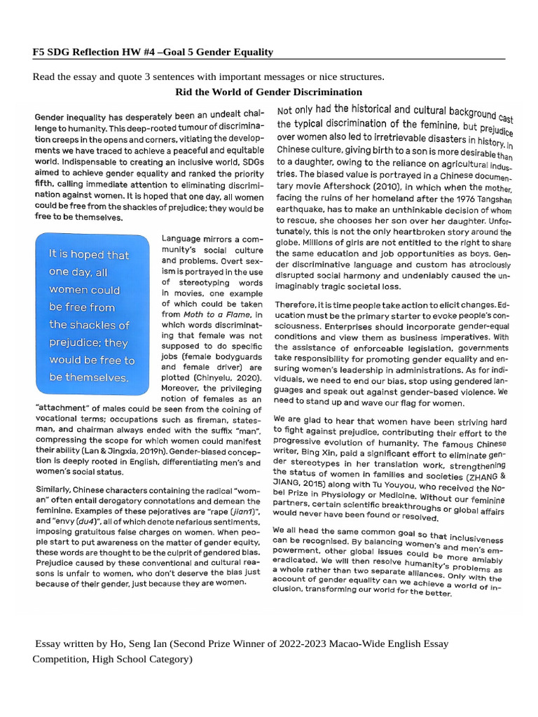 SDG Goal 5 - Essay | PDF