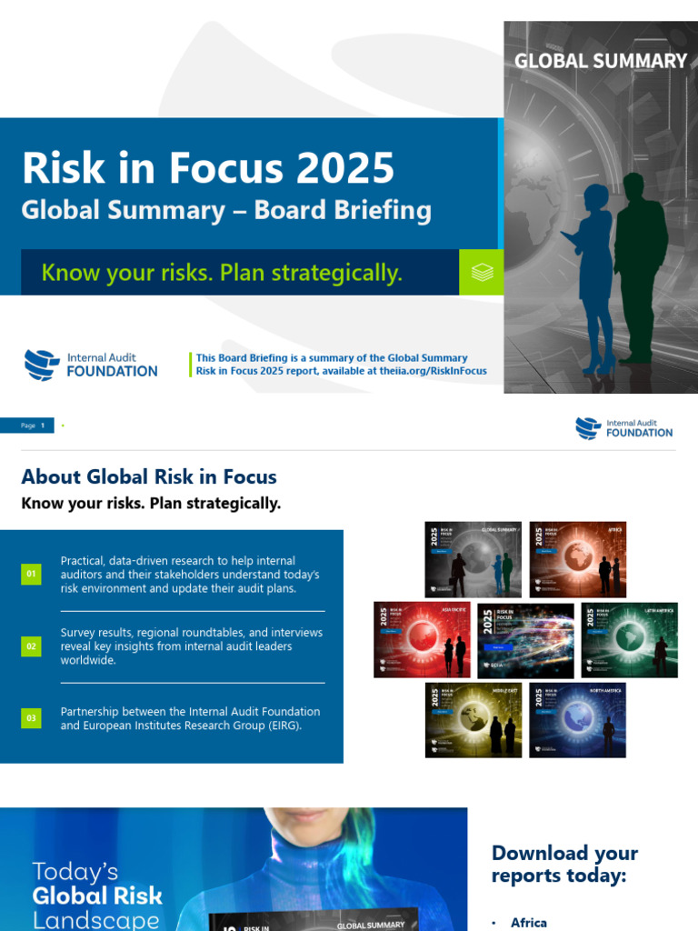 Risks in Focus 2025 | PDF