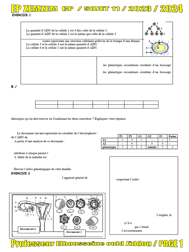 Sujet 11 Cp 2024 | PDF