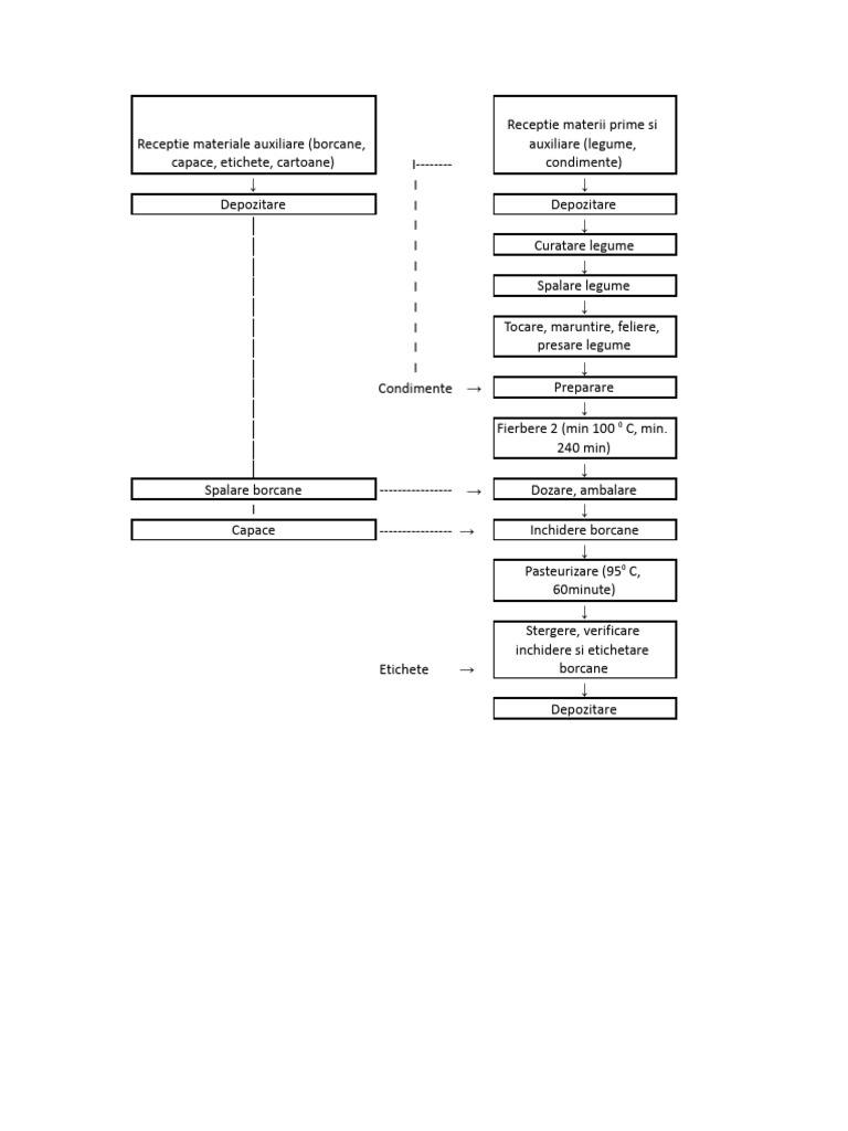 Schema logica Zacusca de vinete.xlsx - Sheet1 | PDF