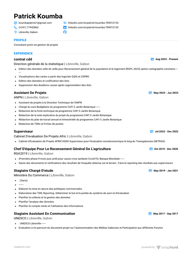 CV KOUMBA Patrick | PDF