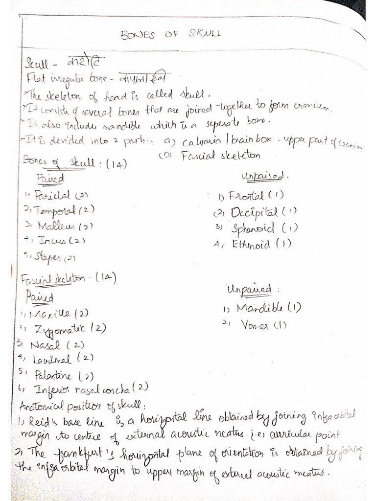 Anatomy Record Skull and Facial Bones | PDF