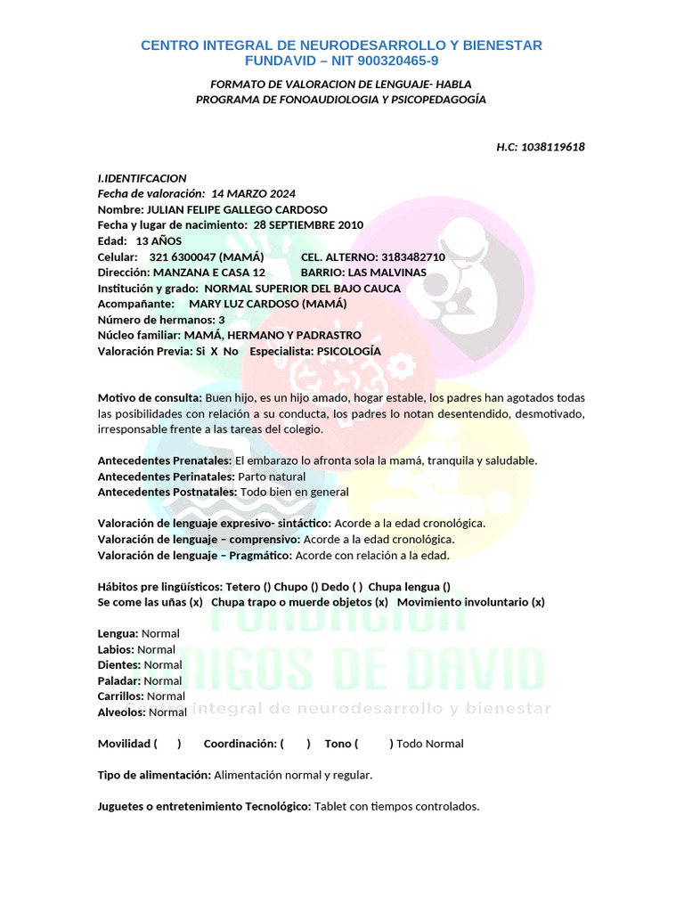 Julian Felipe Gallego Cardoso | PDF