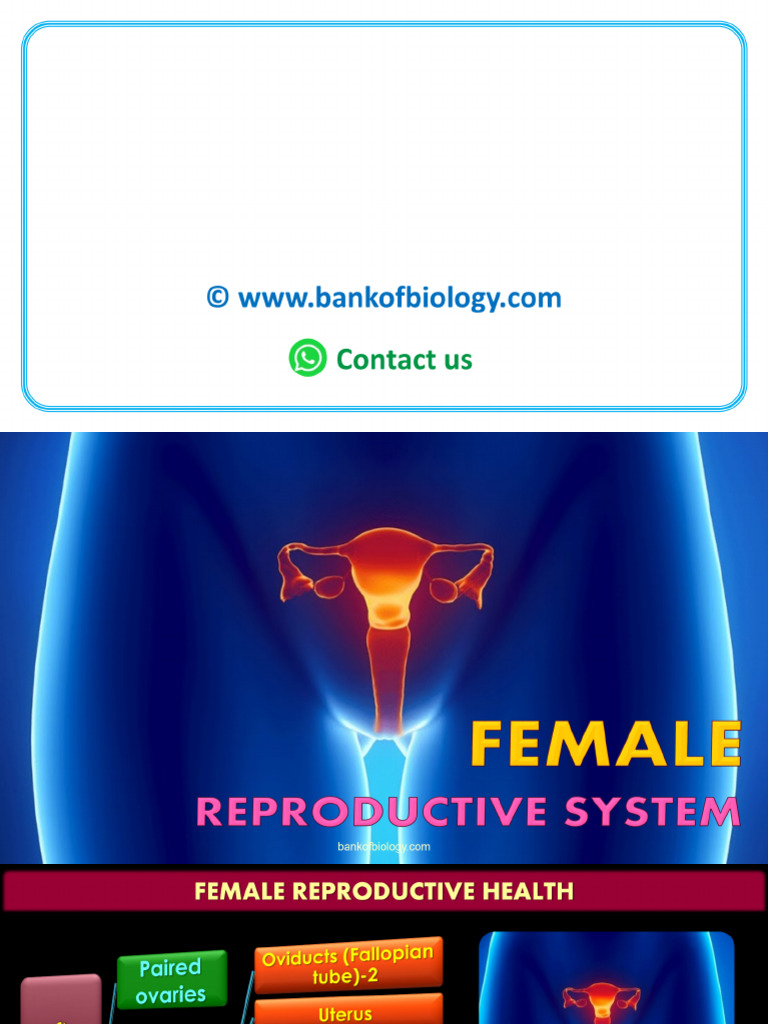 3 Human Reproduction PPT Part 2. | PDF
