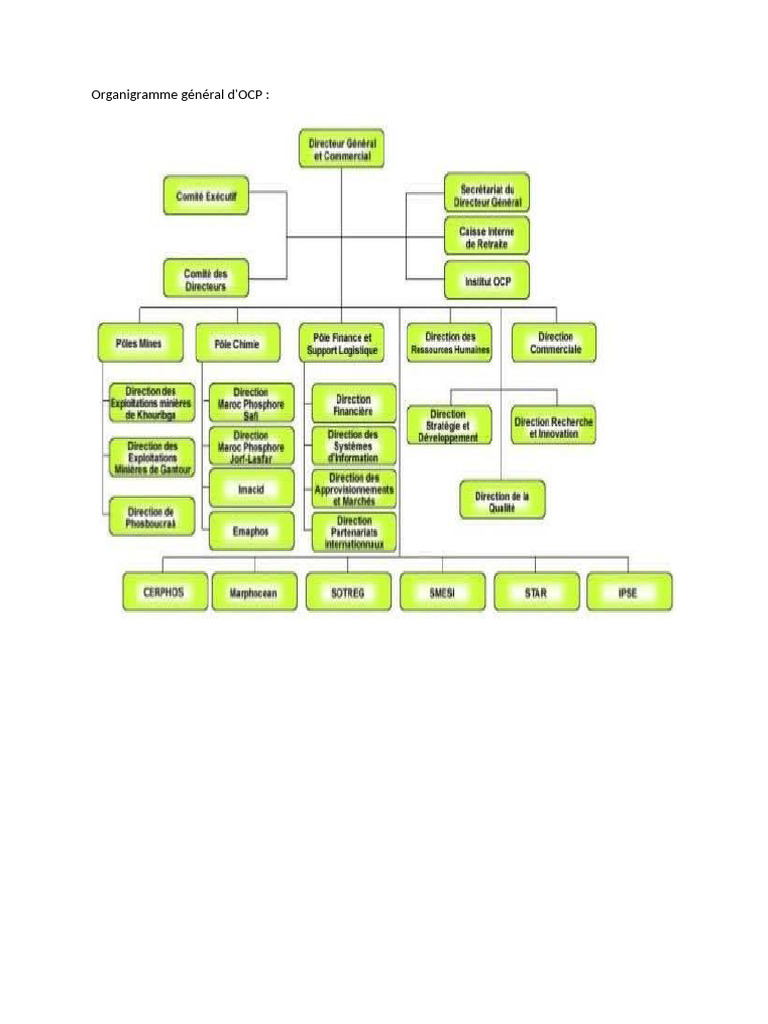 Organigramme Général D'ocp | PDF