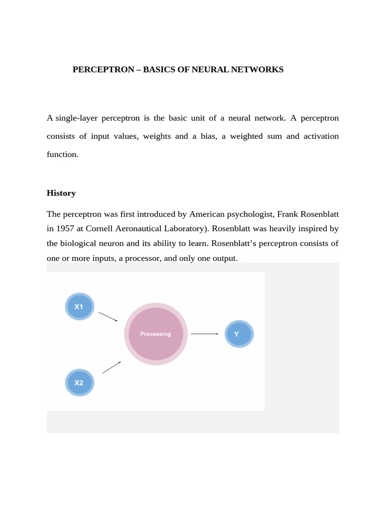 Perceptron 1 | PDF