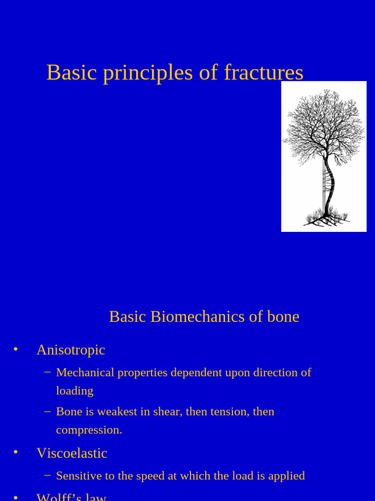 Fracture | PDF