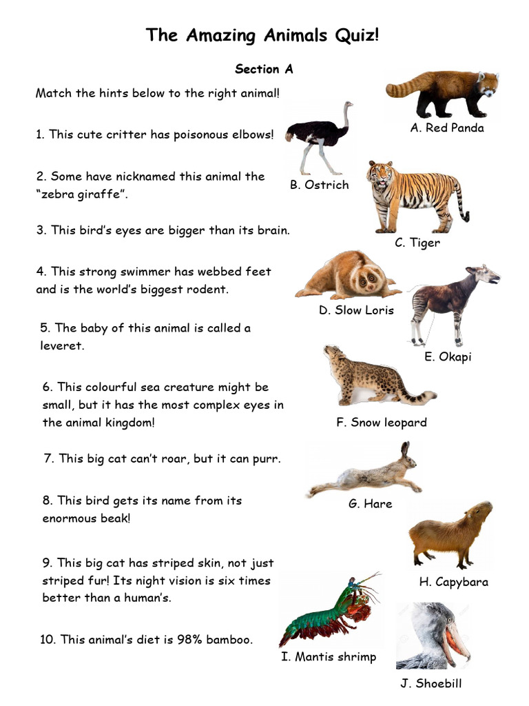Animal Facts Quiz 1 | PDF