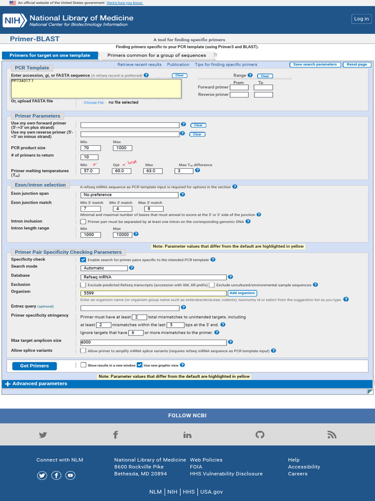 Primer Designing Tool | PDF