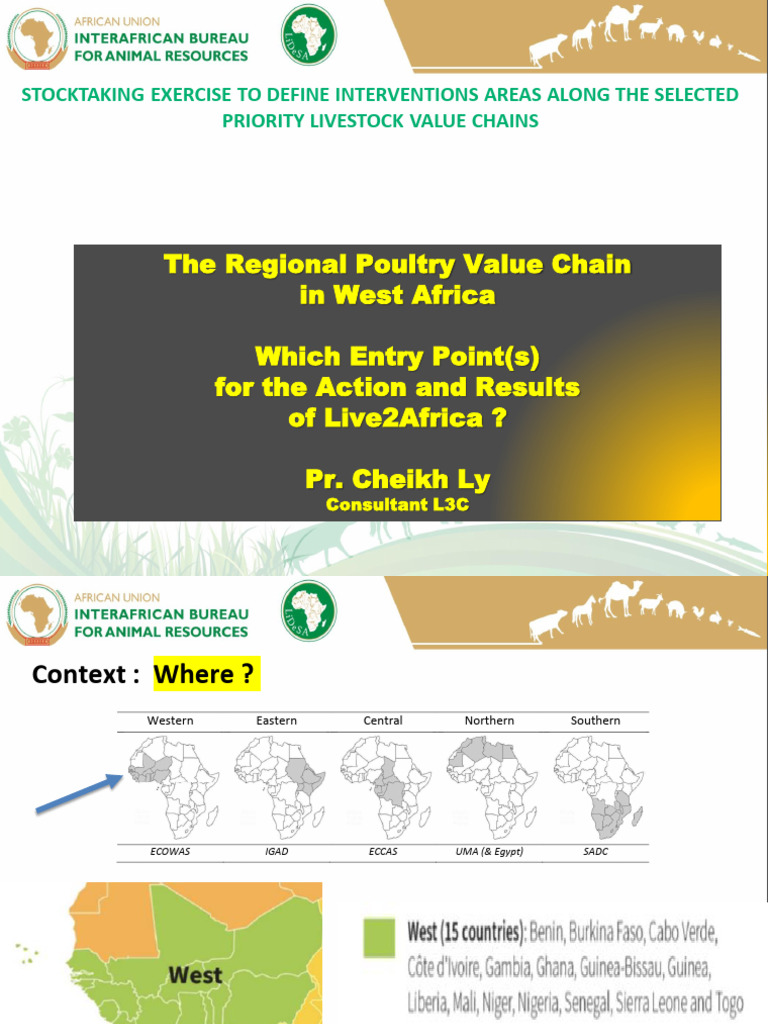 West Africa - Poultry Regional Value Chain - Cheikh Ly | PDF
