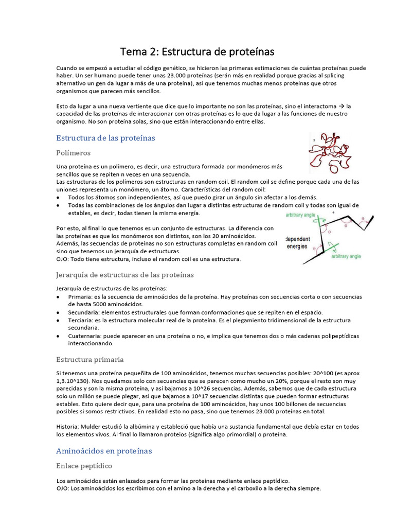 Wuolah Free Tema 2 (2) Gulag Free | PDF