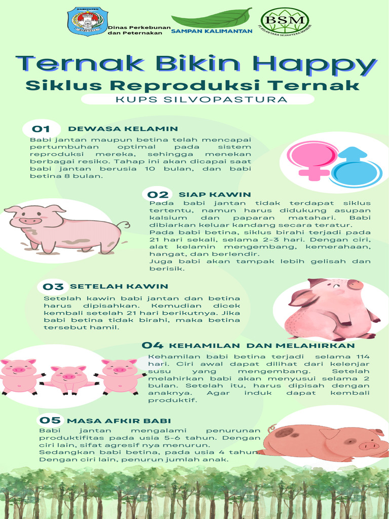 Ternak Bikin Happy: Materi Pengenalan Reproduksi Ternak Babi | PDF
