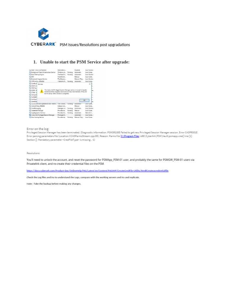 PSM Issues | PDF | Business