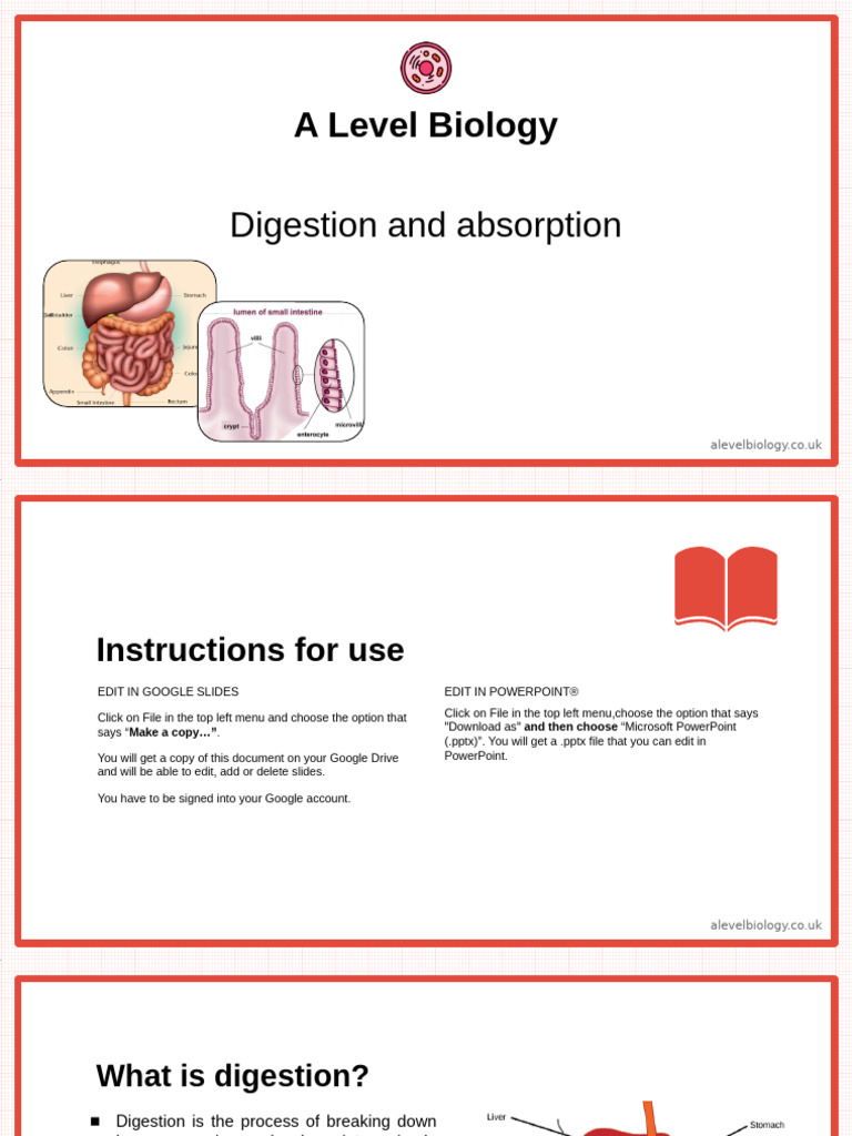 Digestion And Absorption Pdf Digestion Wellness