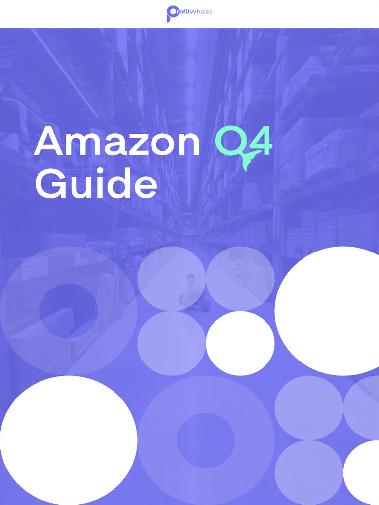 Amazon q4 Guide Profitwhales | PDF