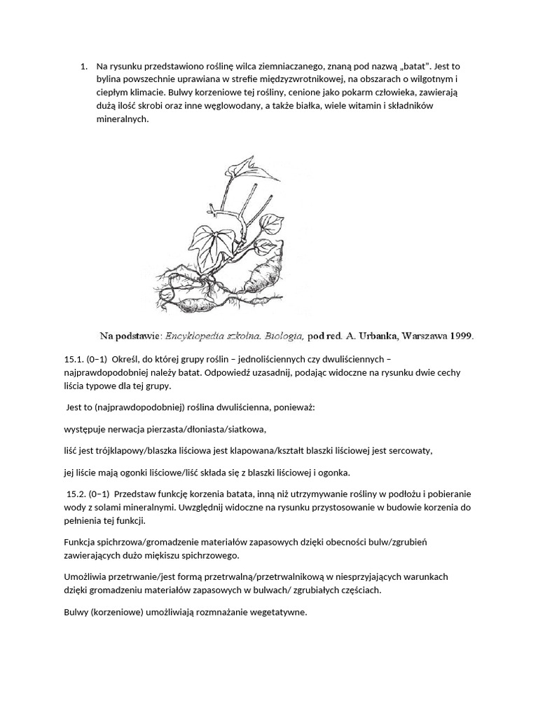 Na Rysunku Przedstawiono Roślinę Wilca Ziemniaczanego | PDF