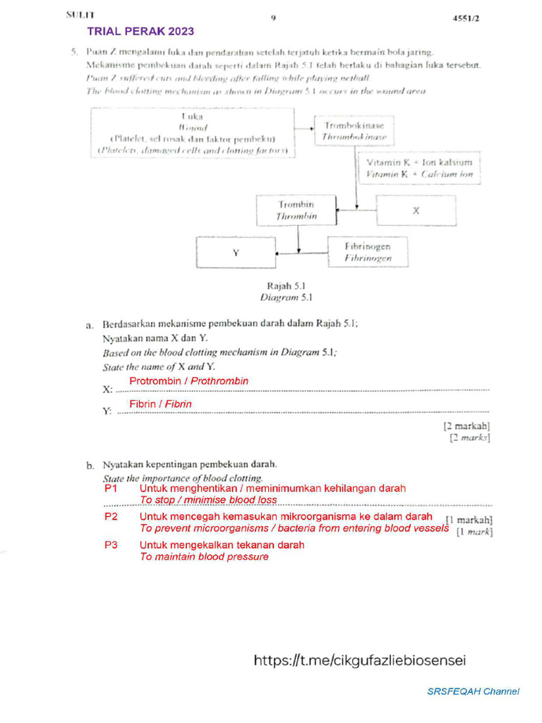 Trial Bio 2023 t4 b10 Jawapanz | PDF